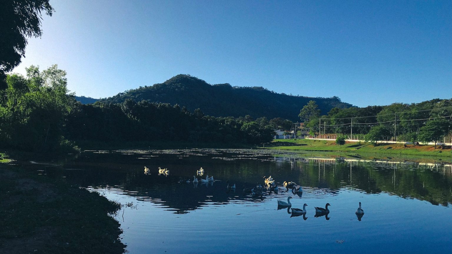 What Is Mercer Island Washington Known For? A Guide to the Island's Top ...